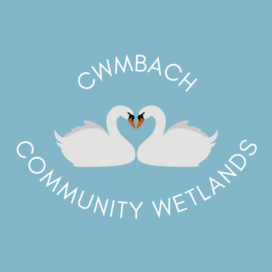 The Committee Cwmbach Community Wetlands